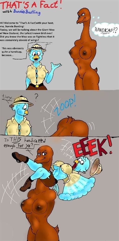 Rule 34 Anthro Anthro Female Armless Ass Up Avian Avian Humanoid Big