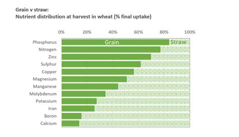 Grain Nutrient Analysis And Its Role In Management Ahdb