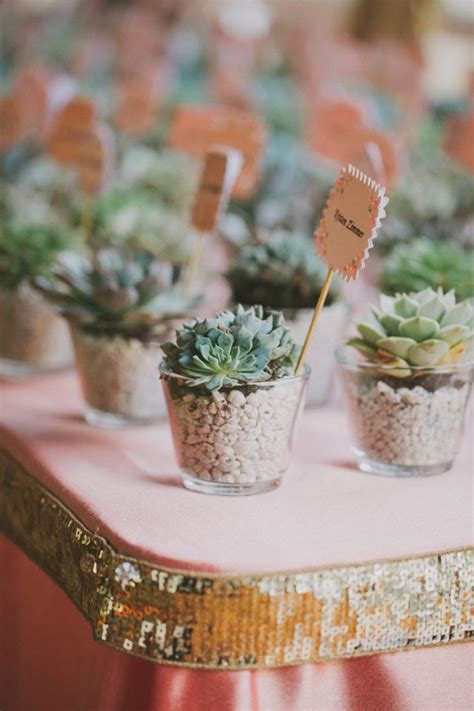 Succulents As Wedding Favors