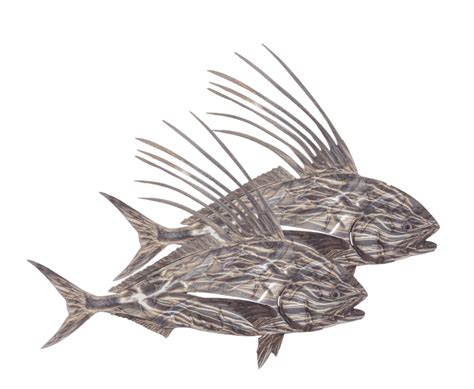 Double Roosterfish Armando Robert Hevia Heviart