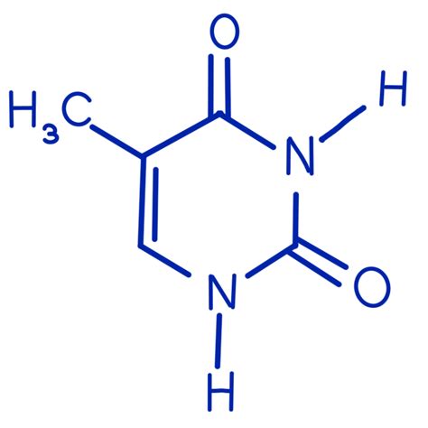 Thymine In Aac Image Library · Global Symbols