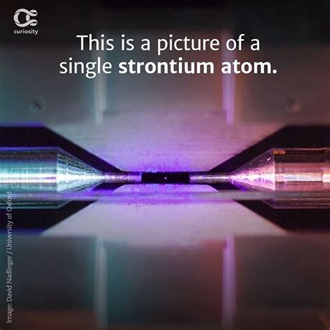 Reflection Of A Single Strontium Atom
