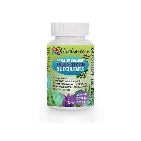 Organic Kelp Fertilizer For Succulents And Cacti Nourish Your Succulent