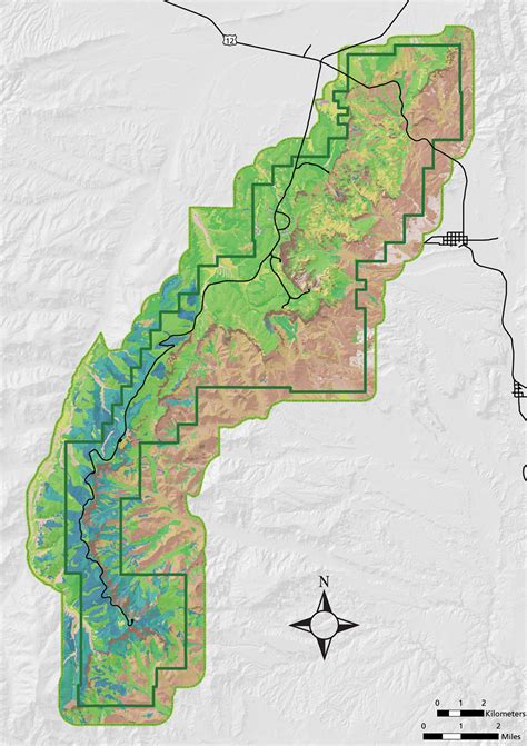 Colorado Vegetation Map