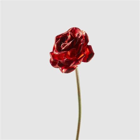 Small Red Rose Set Of 6 Ironyhome