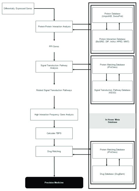 Meta Data Analysis Flowchart Download Scientific Diagram