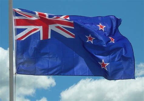 Swimming New Zealand Head Coach Jerry Olszewski Resigns