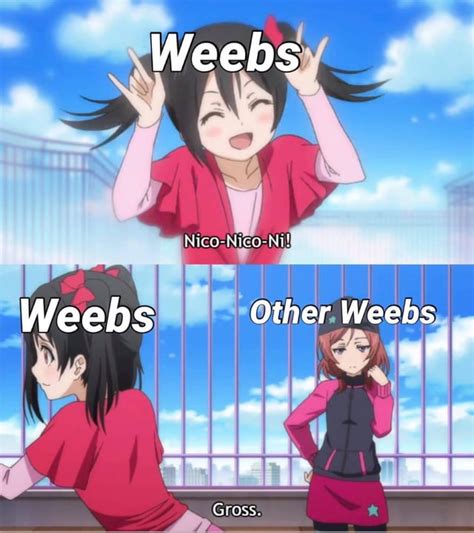 Fucking Weebs Ranimemes