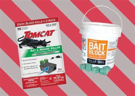 9 Best Pack Rat Baits And The Most Effective Ways To Eliminate Pack Rats