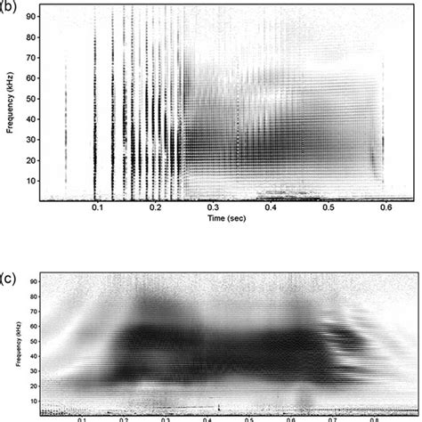 Spectrogram Examples Of Different Long Finned Pilot Whale Sounds A Download Scientific