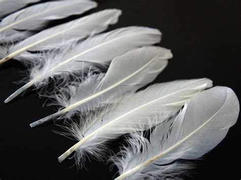 Plumes Blanches De Satinette Doie En Vrac 1 4 Livre Gros La