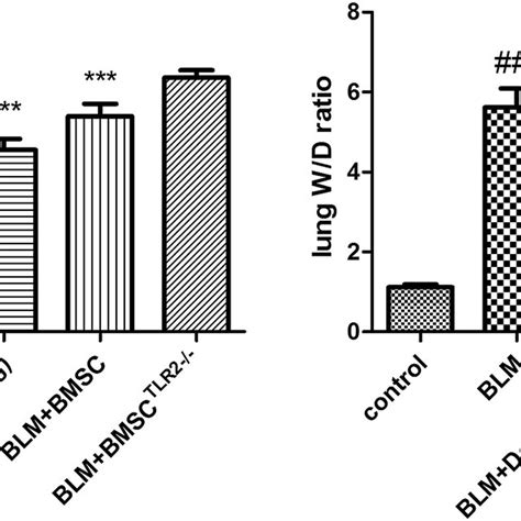 The Morphology Of Bmsc On The 3rd And 7th Day After Bmsc Extraction