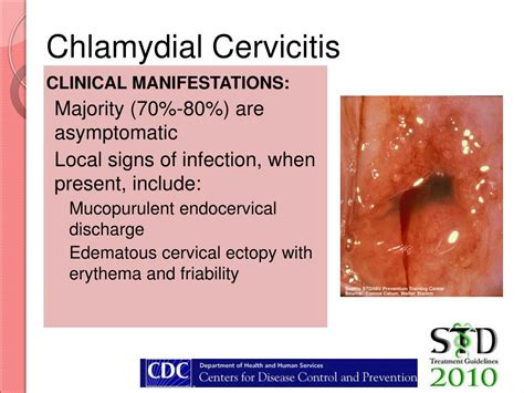 Ppt Cervical Lesions Powerpoint Presentation Free Download Id5911047