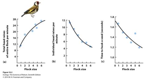 Bio 301 Exam 3 Chapter 10 Flashcards Quizlet