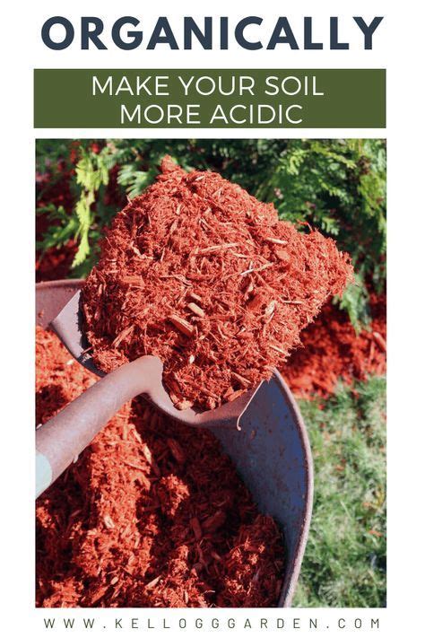 How To Make Soil More Acidic Organically Blueberry Gardening Soil