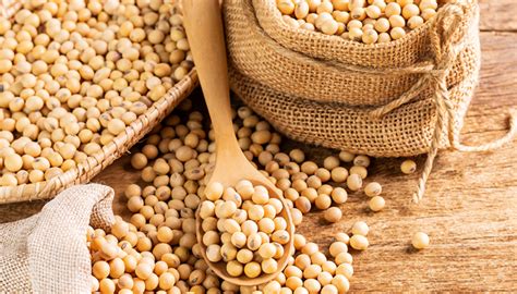 Nopa Crush Below Average Expectations Mckeany Flavell