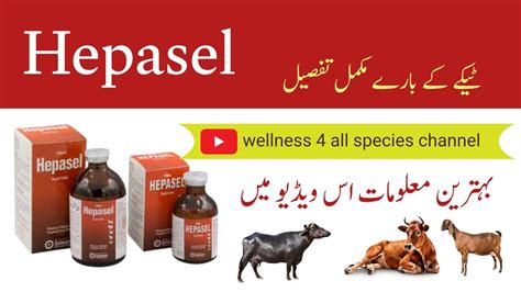 Hepasel Injection Use In Veterinary Youtube