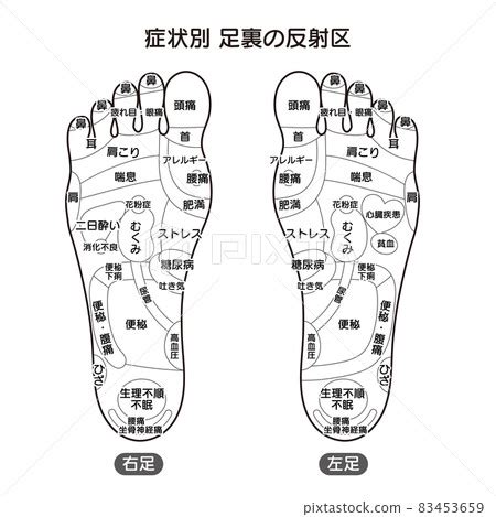 足底反射區和穴位按症狀的單色插圖 插圖素材 [83453659] Pixta圖庫