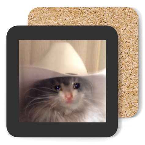 Sad Cat Cowboy Hat Meme Funny Internet Viral Joke Pun T Coasters