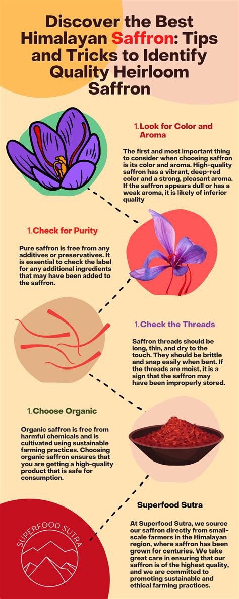 The Golden Spice Exploring The History Science And Health Benefits
