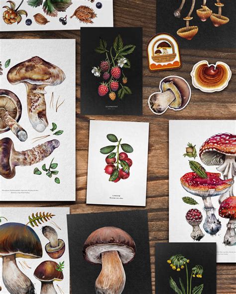 Flora And Fungi Mystery Mix Saga Mariah Shop