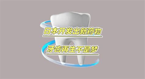 牙齿再生新突破：日本药物临床试验即将开始