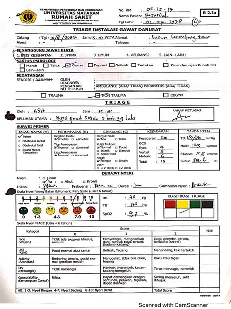 Form Triage Igd 1 Pdf