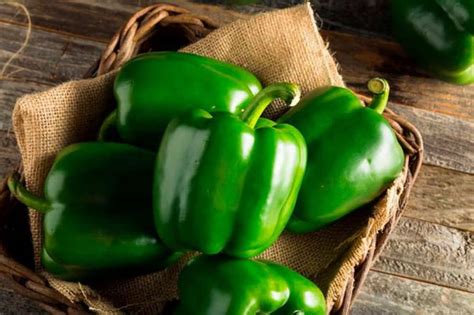 Differences And Characteristics Of Green Red And Yellow Bell Peppers