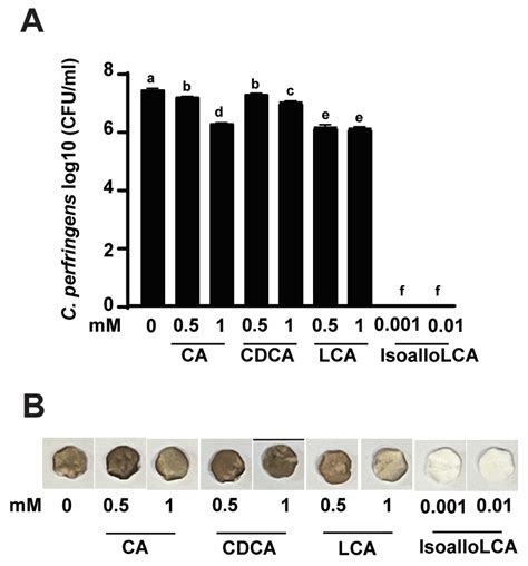 Potent Bile Acid Microbial Metabolites Modulate Clostridium Perfringens