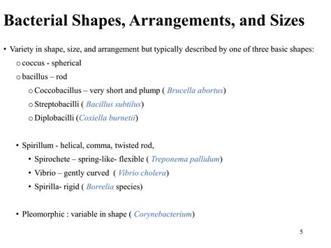 Bacterial Cell Structure And Function I Pdf