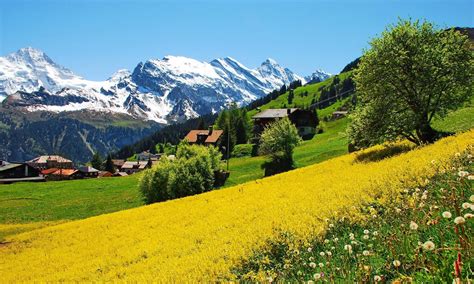 Switzerland Nature Wallpapers Top Free Switzerland Nature Backgrounds