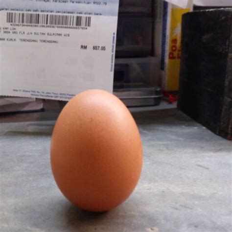 Hui Ling Li Usim Universiti Sains Islam Malaysia Kampung Baharu Nilai Usim Faculty Of