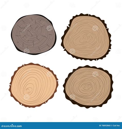 Tree Slices Vector Stock Vector Illustration Of Texture 78892860