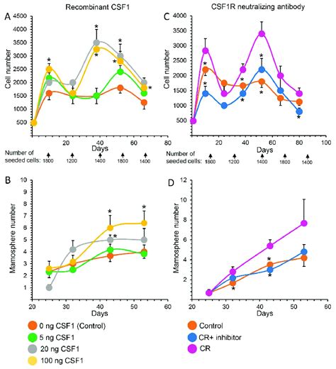 Manipulating The Csf1 Csf1r Interaction Affects Mammary Epithelial Stem