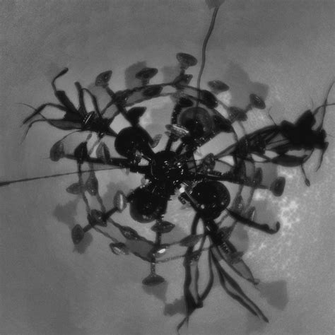 Explore Exploit Entire