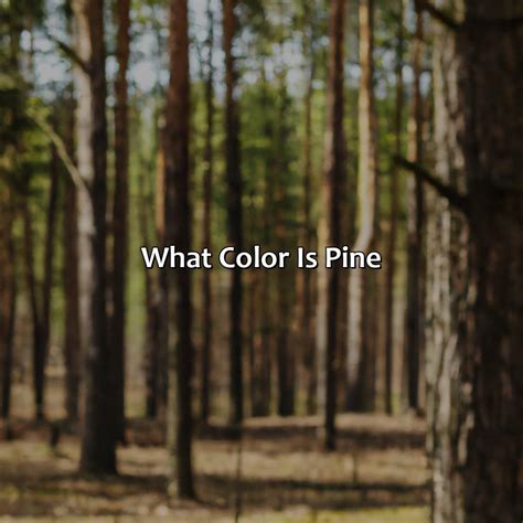 What Color Is Pine