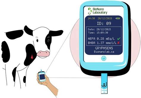 Cow Side Device For Sub Clinical Ketosis Mooanalytica