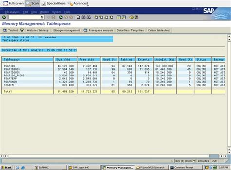 Brtools Sap Basis Cafe