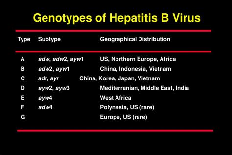 Ppt Hepatitis B Powerpoint Presentation Free Download Id 201385