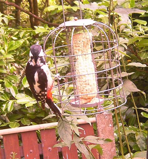 Helen H Durrant On Her Writing Journey For The Wrong Woman — Joffe Books One Of The Uks