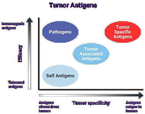 Ancer® Personalized Cancer Vaccine Design Platform Through Ai
