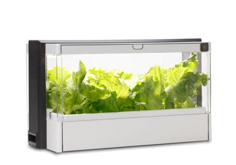 Hydroponic Herb Garden Kit A Great Alternative To Diy Proponics