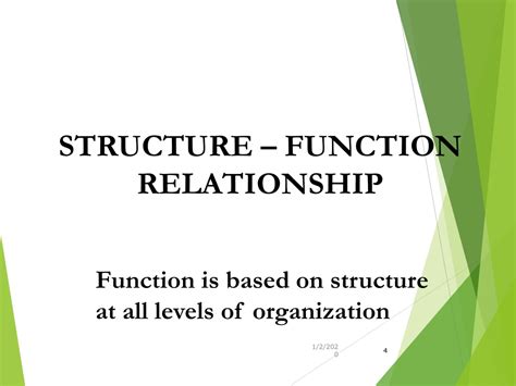 Ppt Central Themes In Human Physiology Structures Functions