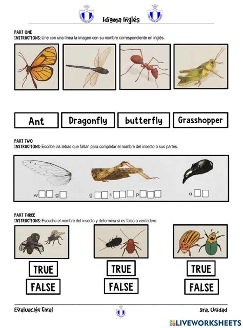Hoja De Trabajo Sobre Insectos Proyecto Insectos 2 Pdf Aprendizaje