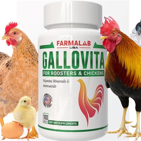 6 Best Vitamins For Gamefowl Conditioning Boost Performance