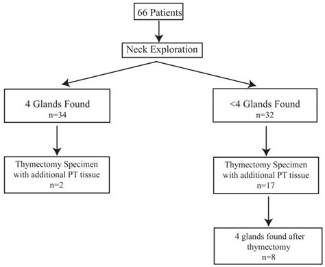 The Utility Of Routine Transcervical Thymectomy For Men1 Related Hyperparathyroidism Pmc