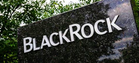 Joseph Mongillo On Linkedin Excited To Announce That Upon Receiving My