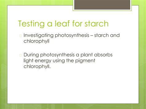 Photosynthesis And The Leaf Starch Test Pptx