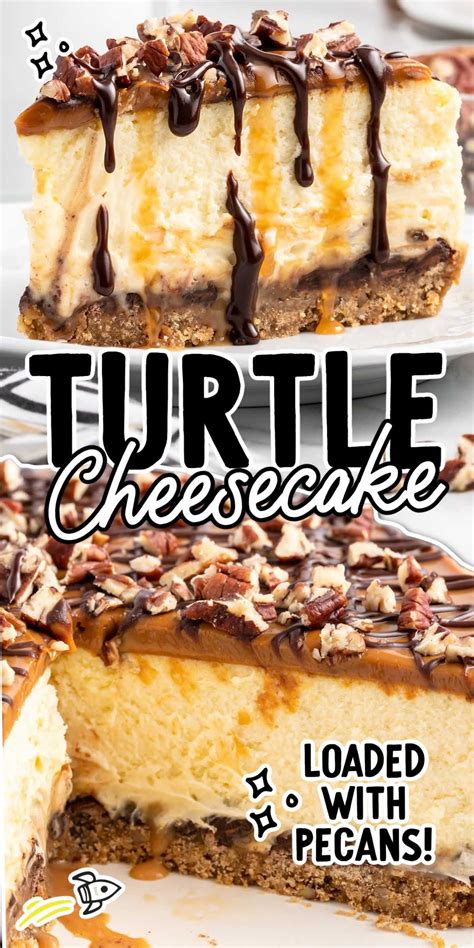 Turtle Cheesecake Recipe Artofit