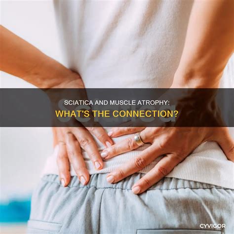 Sciatica And Muscle Atrophy Whats The Connection Cyvigor
